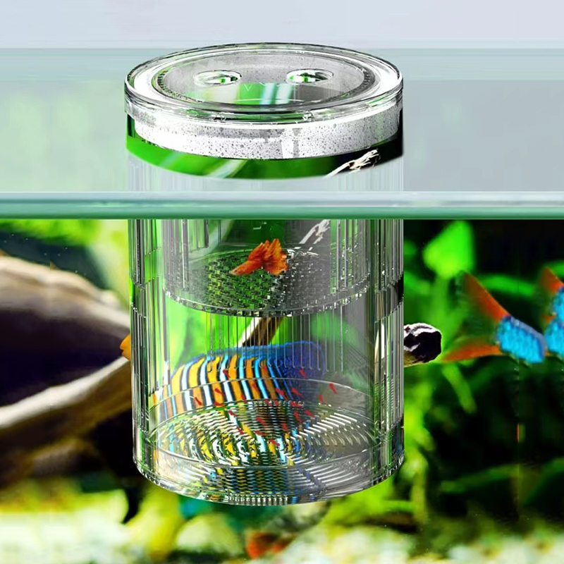 Acrylic Floating Fish Breeding Isolation Box - Pet Trending