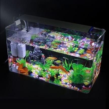 Ultra-Clear Acrylic Fish Tank